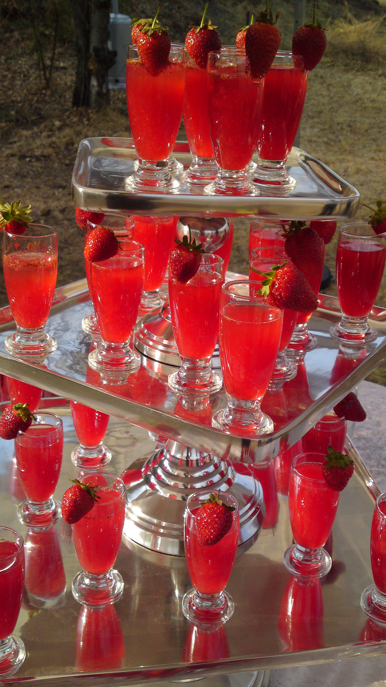 Functions Events Party Gallery - Catering Companion